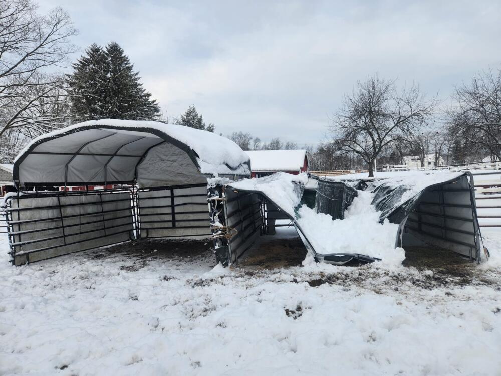 With your help, we can replace our damaged sheds. - New England Equine ...